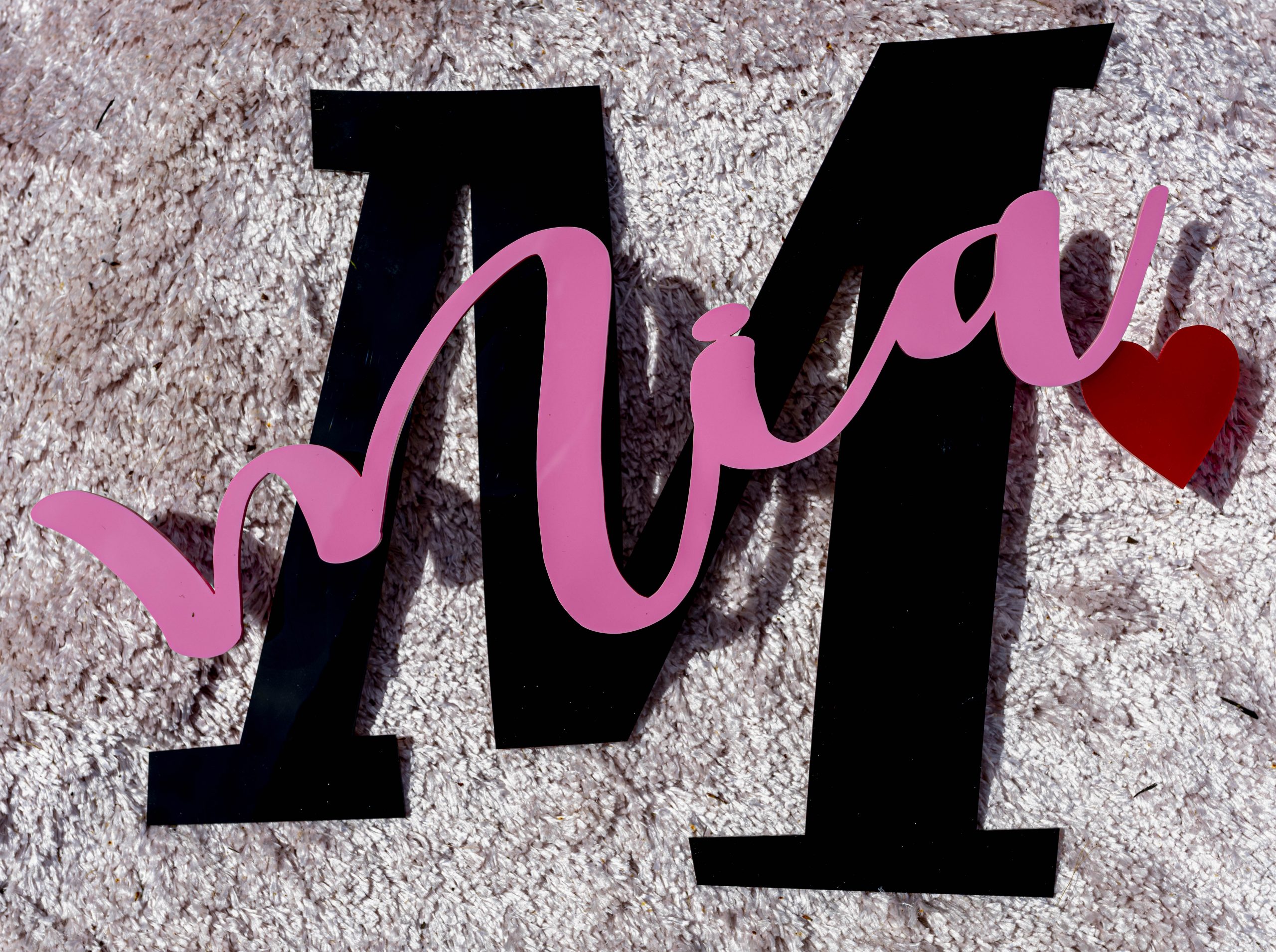 Signage | Party Pics Photo Booth